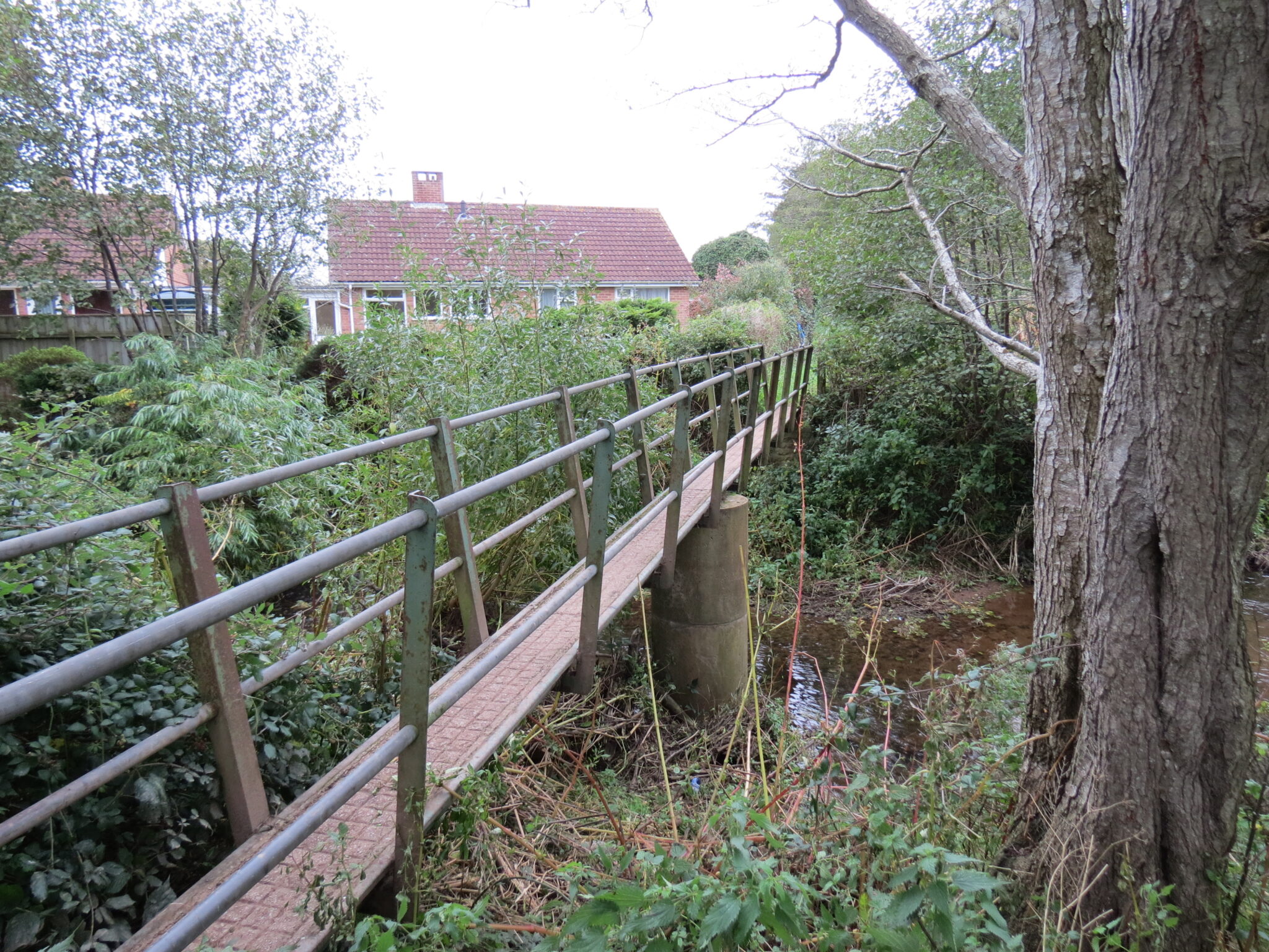 Cannington Weir Bridge – Somerset Rivers