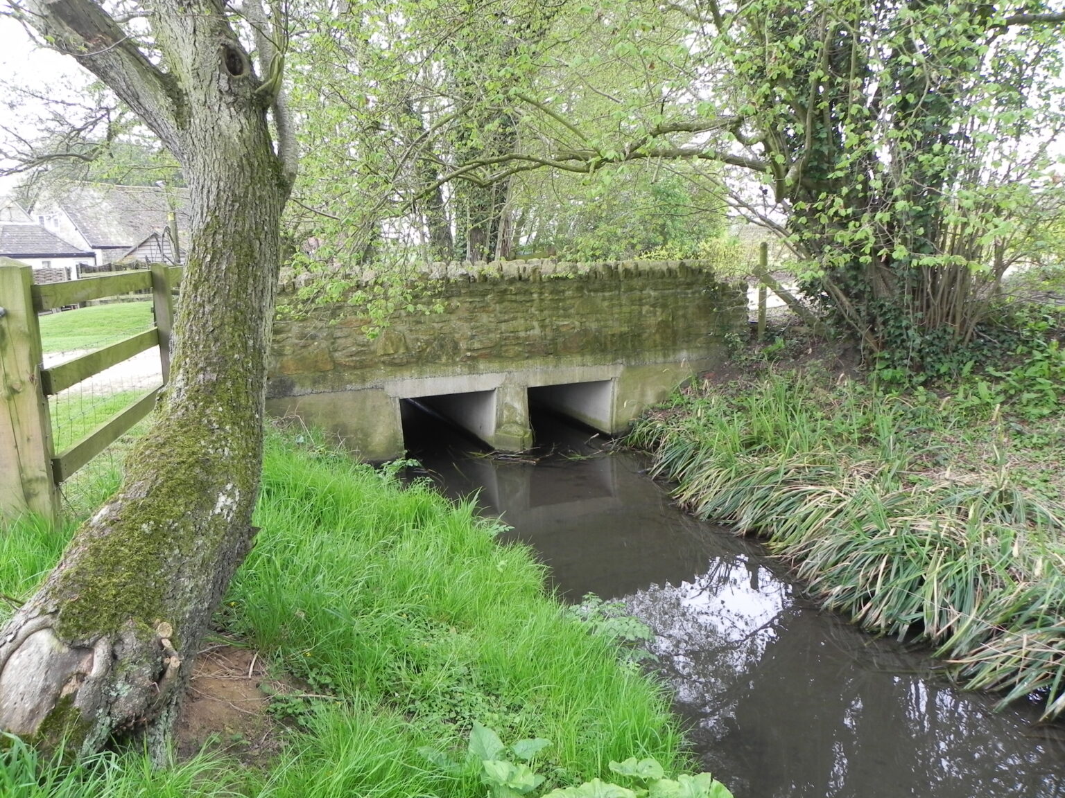 River Cam – Somerset Rivers