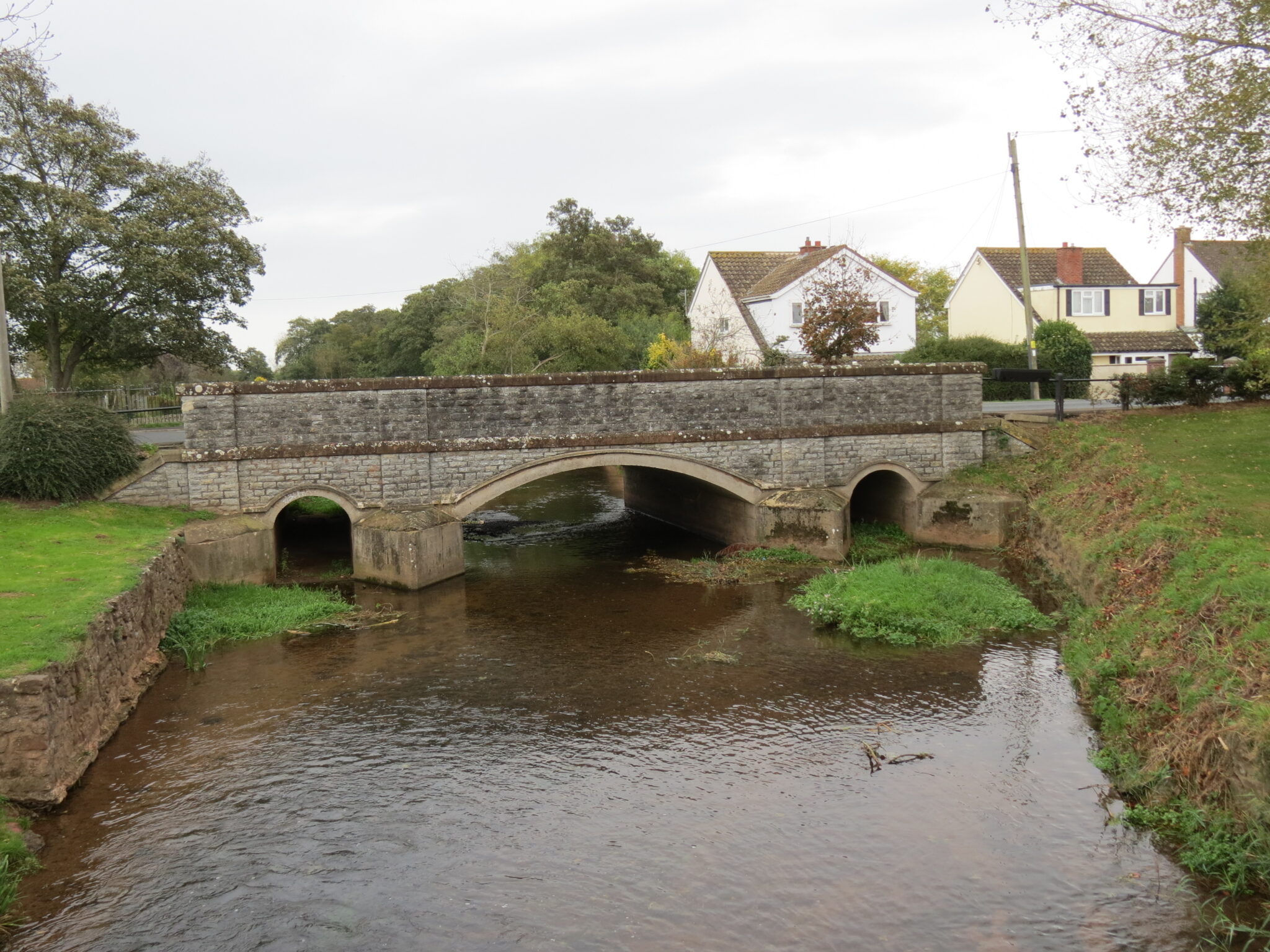 Cannington Brook – Somerset Rivers