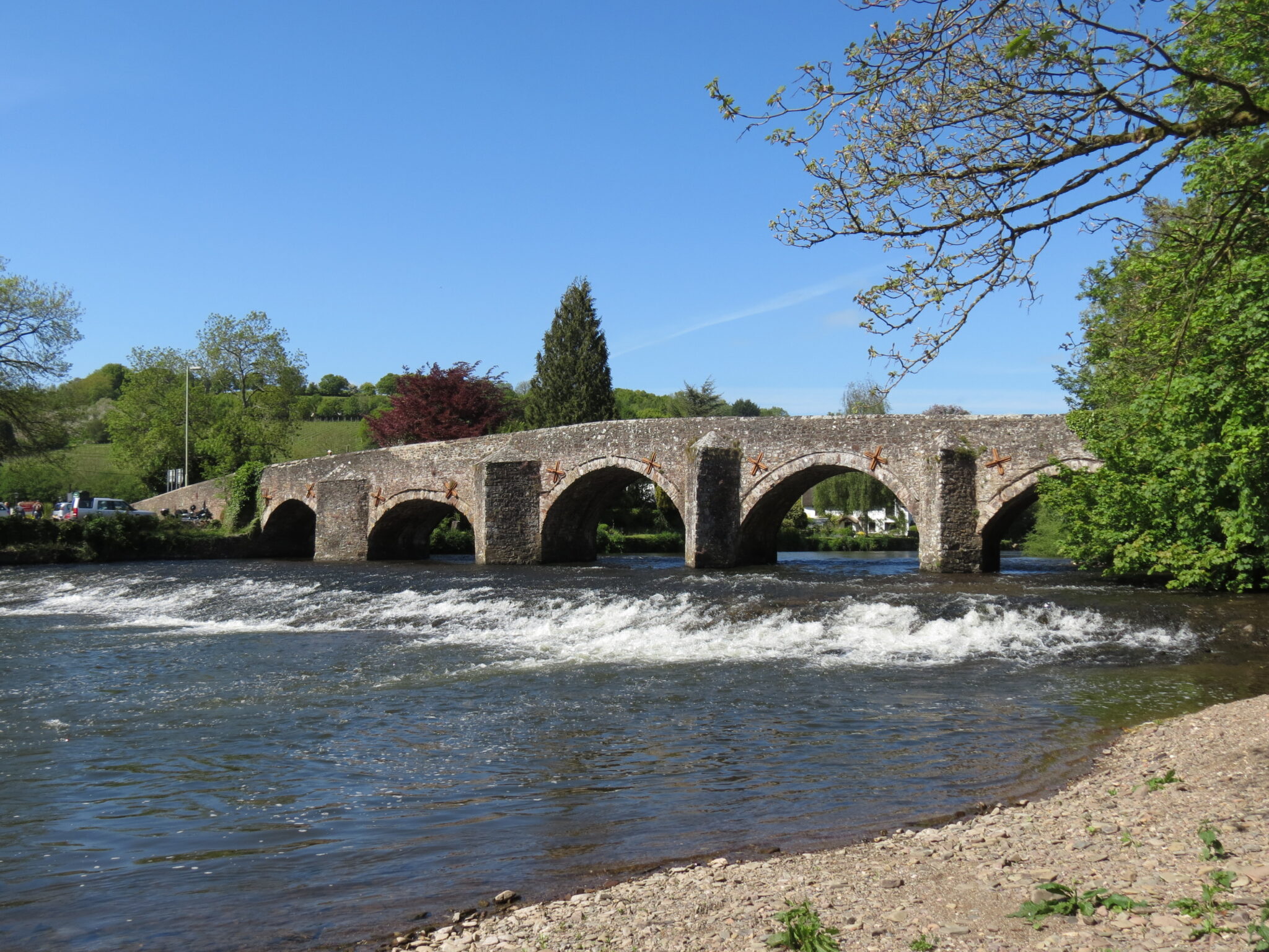 River Exe – Somerset Rivers