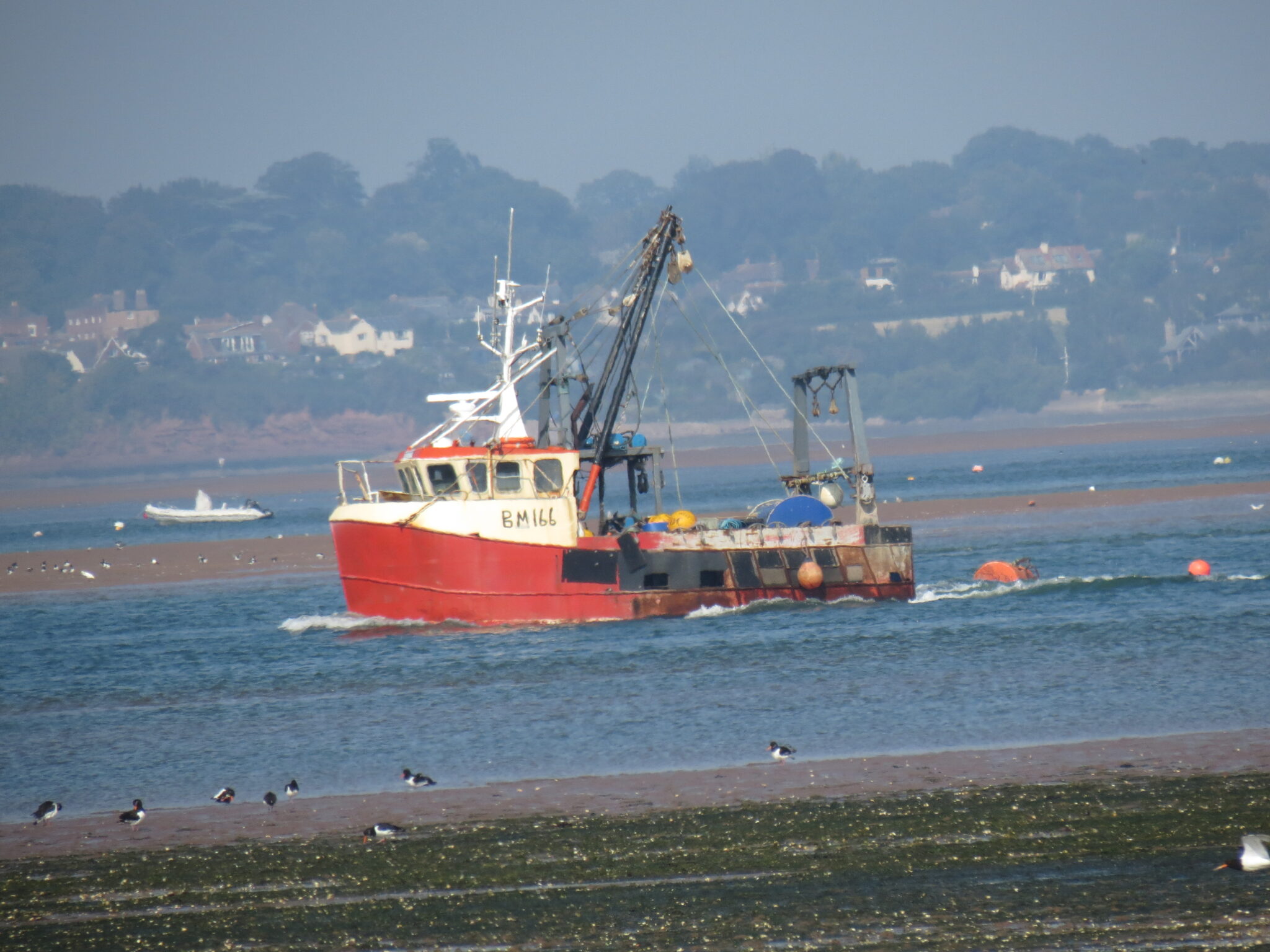 River Exe – Somerset Rivers